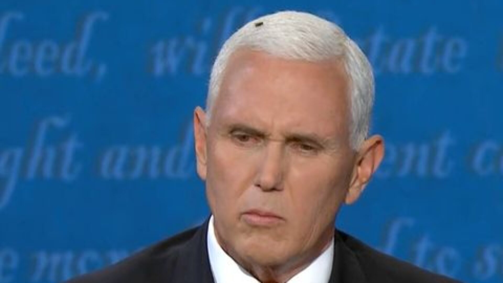 Meme Archives - Girls United